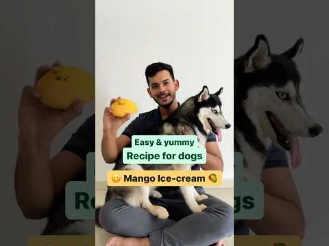 Easy & Yummy Mango Ice-Cream Recipe for Dogs 😋🐶 #diydogtreats #dogsummer #dogfood