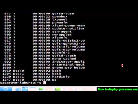 How to display processes running for specific user in Unix