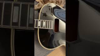 Gibson ES-250 Electric Guitar - What To Know & Where To Buy | Equipboard