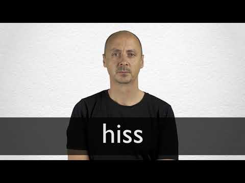 HISS definition and meaning | Collins English Dictionary