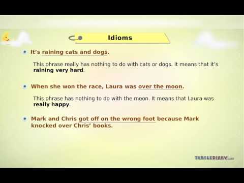 Idioms and Proverbs *What's The Difference?* Grammar for Kids