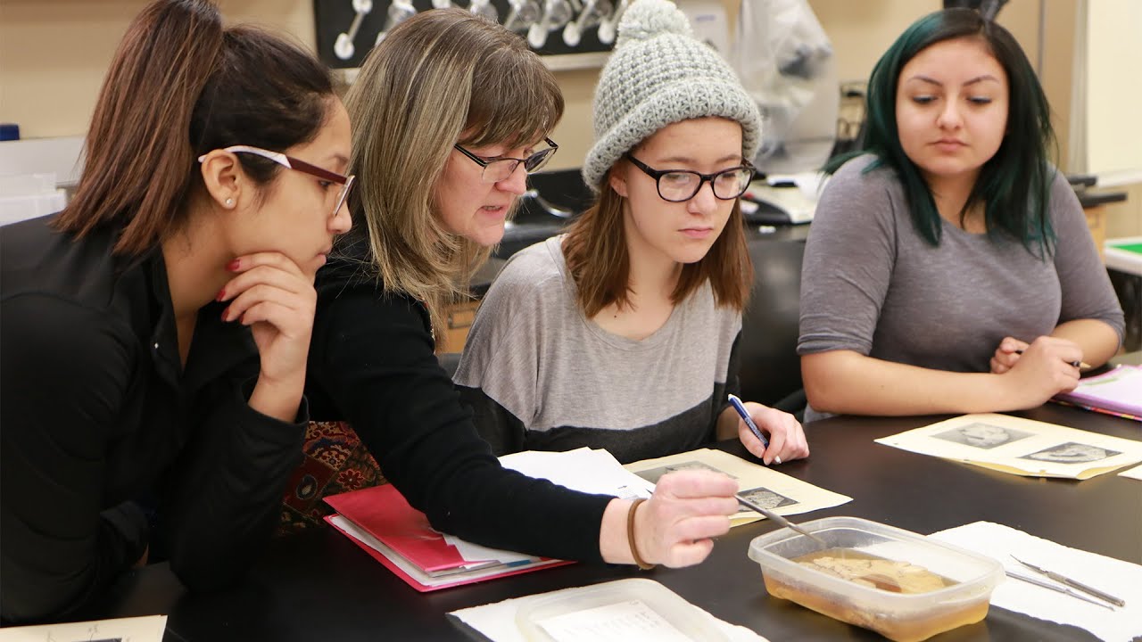 Guided Pathways at YVC | Social Sciences & Education