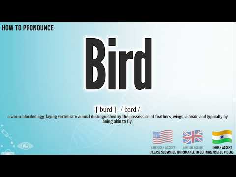 Bird Pronunciation | How to Pronounce (say) Bird CORRECTLY | Medical Meaning