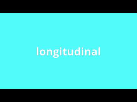 what is the meaning of longitudinal