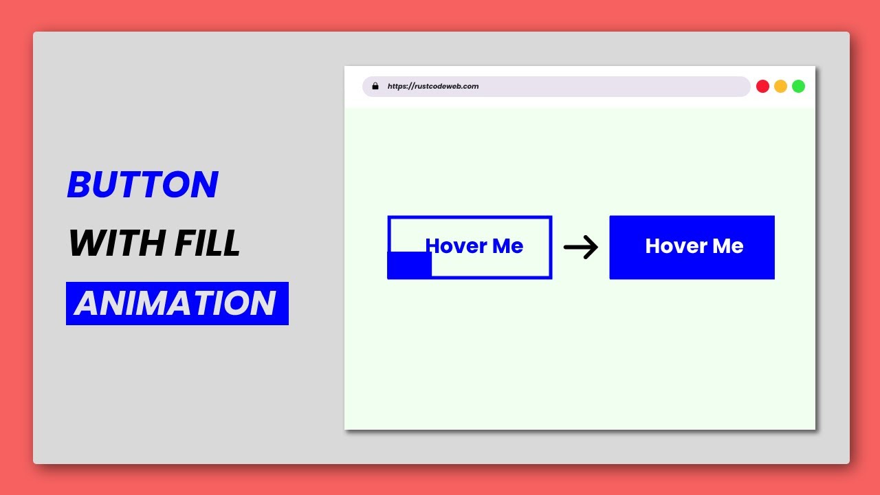 Button Fill Animation On Hover | HTML And CSS