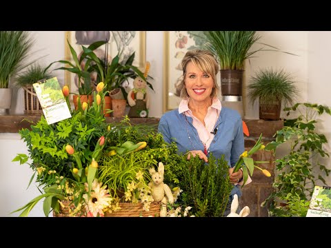 Easter Basket Landscape // SLPC Quick Tip