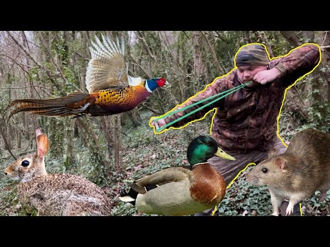 How to Hunt with a Slingshot *CONTAINS HUNTING FOOTAGE*