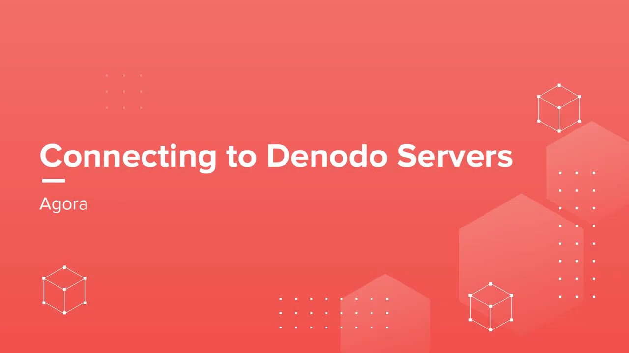 Agora: Connecting to the Denodo Servers