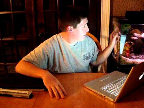 Lighting Series: Kelvin color temperature, part 1.