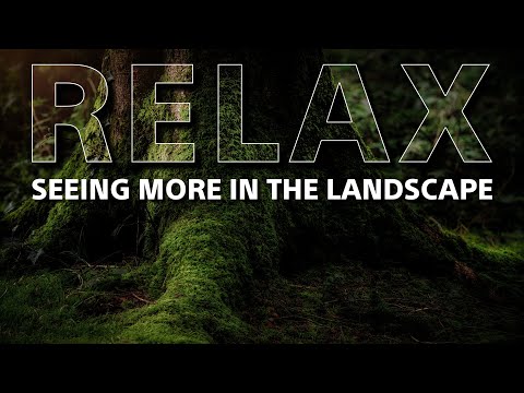 How to see MORE in the Landscape: My BEST lesson so far!