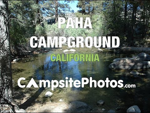 Paha Campground, Humboldt-Toiyabe National Forest, California Campsite Photos