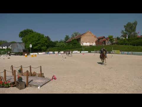 Dekorování test ovladatelnosti – děti, junioři, senioři – Czech Summer Open – 14. 6. 2025