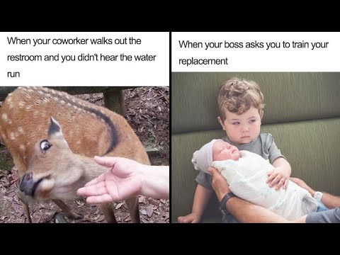 The Funniest Coworker Memes Ever