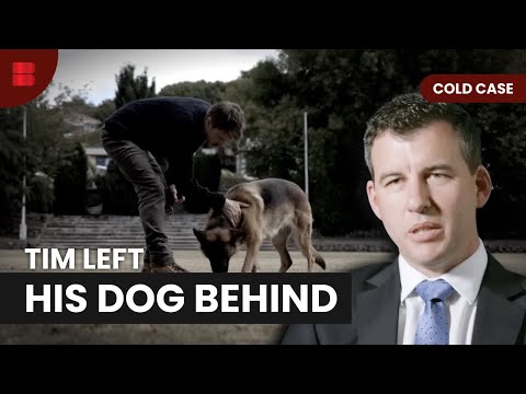 Timothy Pring Disappearance Still Haunts | Cold Case | Crime Documentary