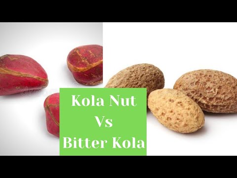 Detailed Comparison On The Health Benefits Of Kola Nut and Bitter Kola | Kola Nut Vs Bitter Kola