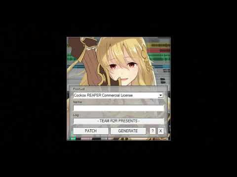 Team R2R REAPER Keygen Song