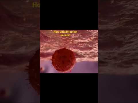 How viral infection occurs?Urdu/Hindi