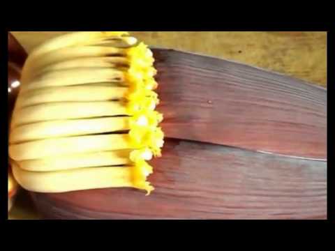 Astringent Tasted foods in tamil - துவர்ப்பு சுவையுள்ள உணவு பொருள்கள்