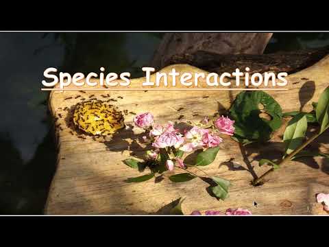 Species Interactions|| Ecology