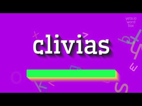 HOW TO SAY CLIVIAS? #clivias
