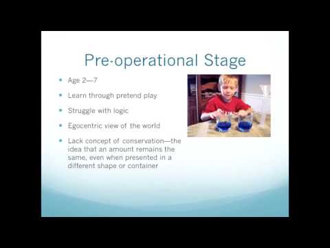 Piaget's Cognitive and Language Development Theory
