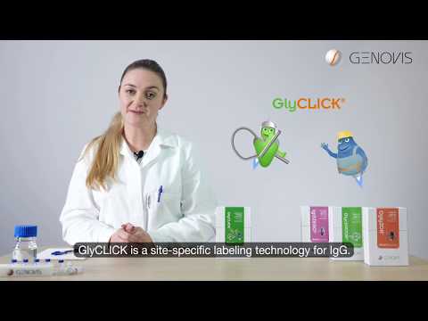 GlyCLICK® - Site-specific labeling of IgG