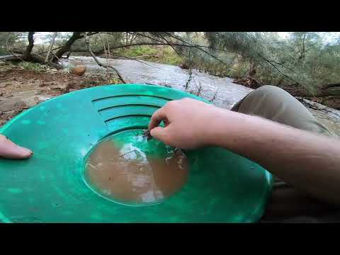 Panning for GOLD in Australia!