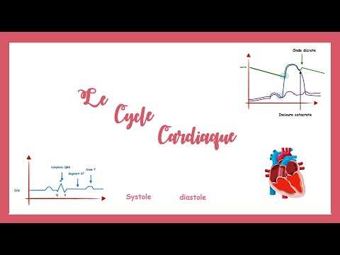 Le cycle cardiaque(la pompe cardiaque)- Physiologie cardiovasculaire.