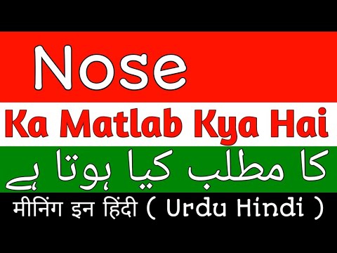 Nose Meaning | Nose Meaning In Urdu/Hindi | Nose Ka Matlab Kya Hota Hai | Nose Ka Meaning Kya Hai