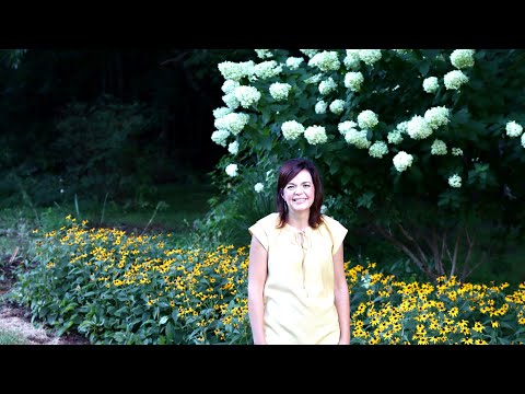 Top 5 Favorite Shrubs // Gardening with Creekside