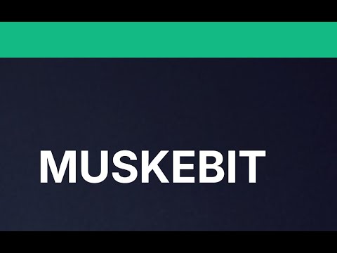 Muskebit.com Review | Is Muskebit a Scam or Something Genuine?