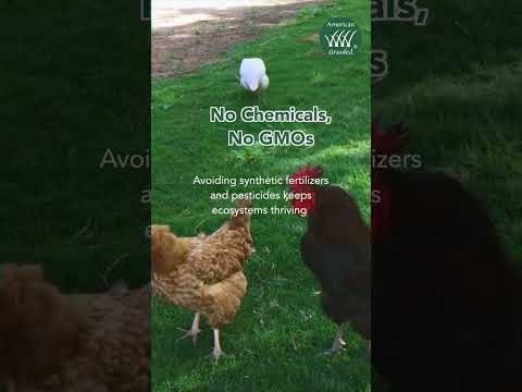 How AGA Farmers Are Fighting Climate Change with Regenerative Agriculture