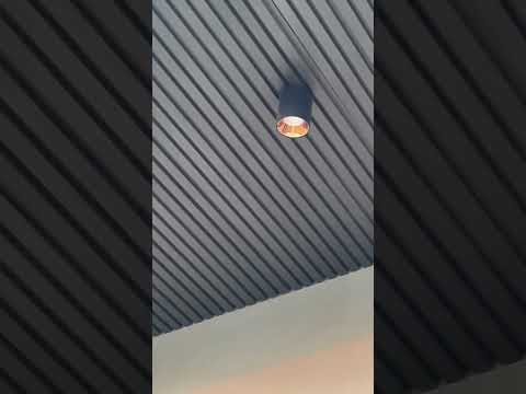 Surface LED Light for Ceiling Philips Surface Light