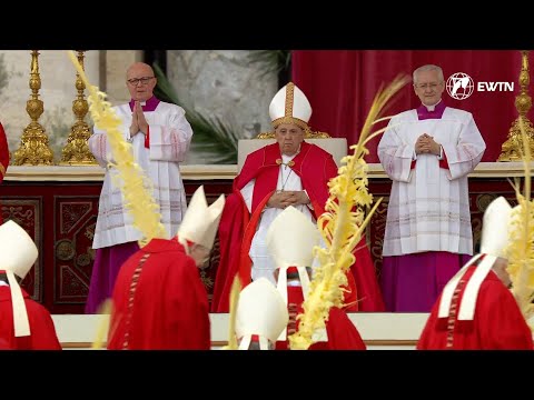 HIGHLIGHTS | Pope Francis' Holy Mass on Palm Sunday 2024 at the Vatican