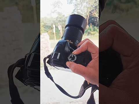 9 Best Entry-Level Digital SLR Cameras of 2016 - IT基礎