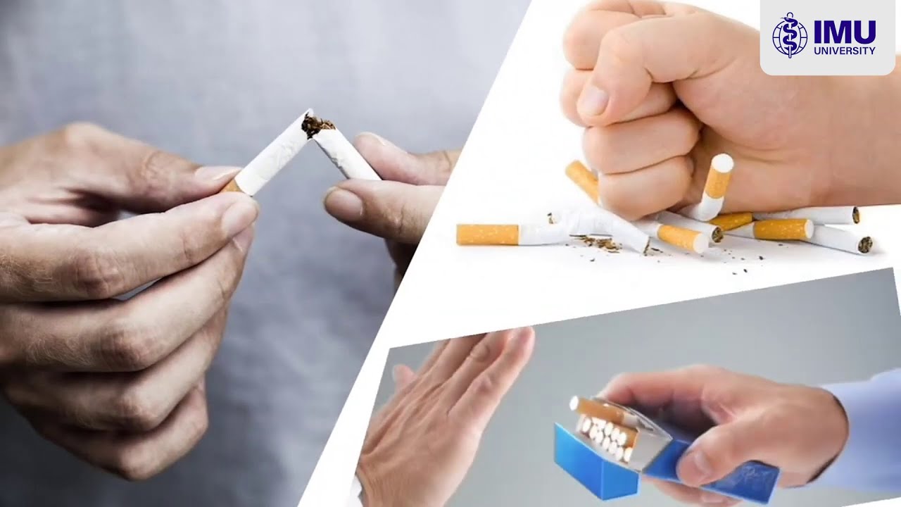 Basic Skills Course for Tobacco Cessation: A Guide for Health Care ...