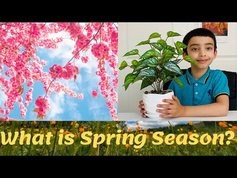 What is SPRING Season?