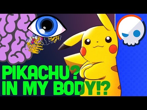 What is Pikachurin? | Gnoggin