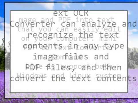 mini PDF to Text OCR Converter Command Line EUL