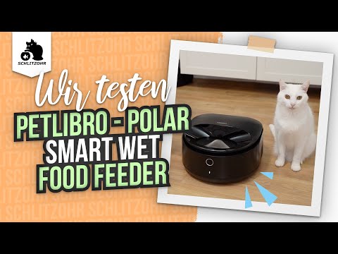 Petlibro Polar Smart Wet Food Feeder - Nassfutterautomat für Katzen im Test! Katze smart füttern!