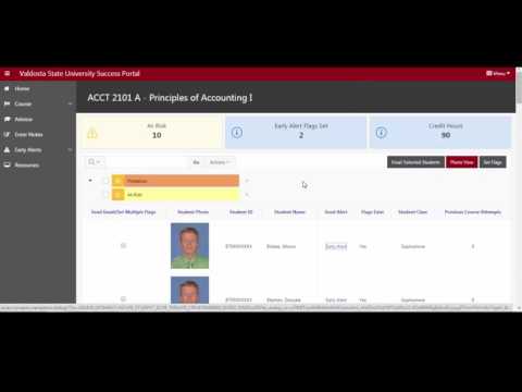 Success Portal - Early Alert Flags & Emails (Course Section)