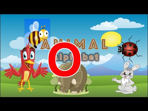 O Animal Alphabet | Learning animals name start with a letter O, A to Z pre-k education, toddlers