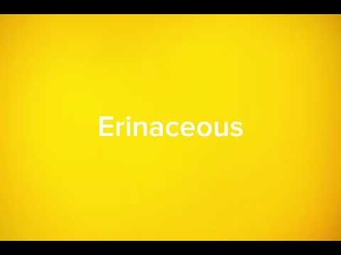 How to pronounce Erinaceous