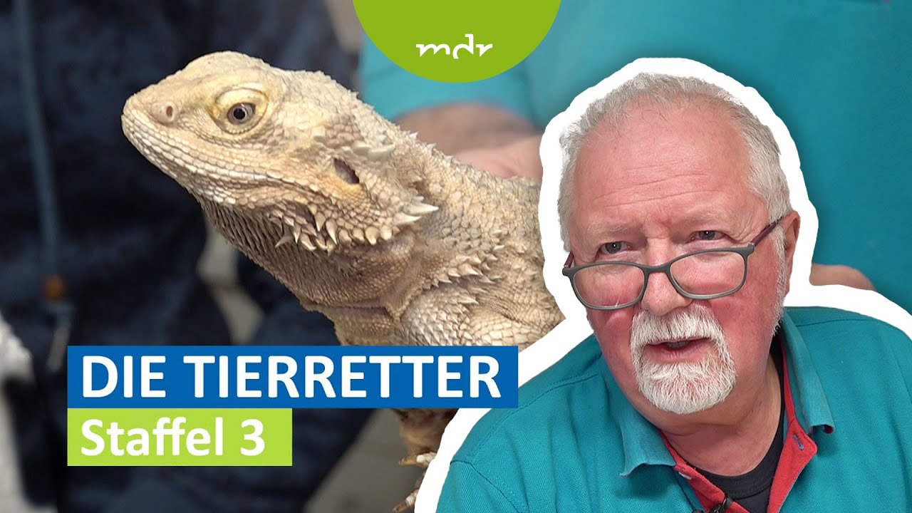 Die Tierretter – Axolotl, Lama & Co (3) | Helfer im Einsatz | MDR