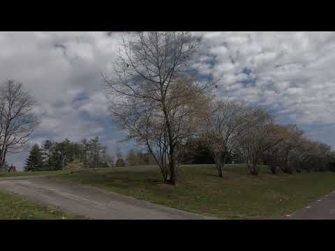 Bristol Tennessee Parks & Recreation's Easter I Spy Challenge