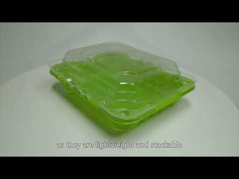 disposable trays for food,disposable container,biodegradable container,High Grade,China seller