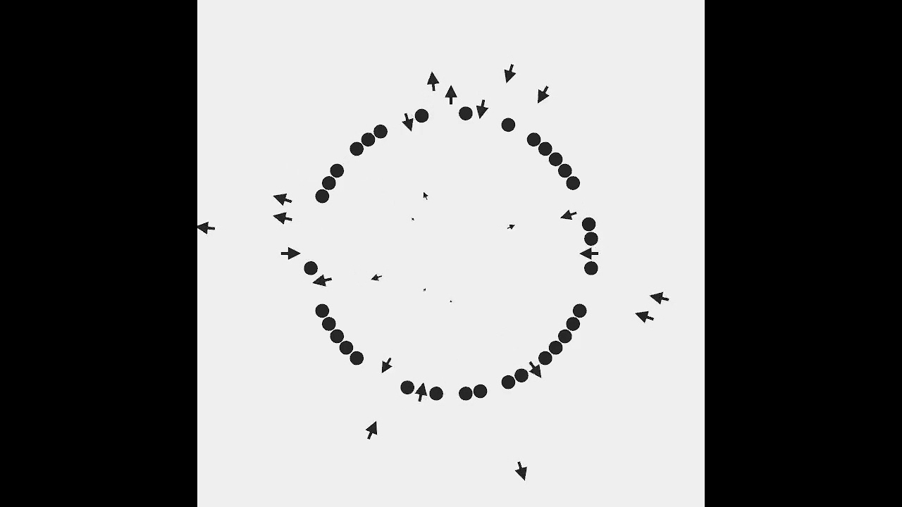Arrows and circles. #openframeworks #programming #creativecoding