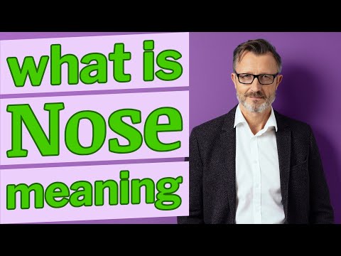 Nose | Meaning of nose
