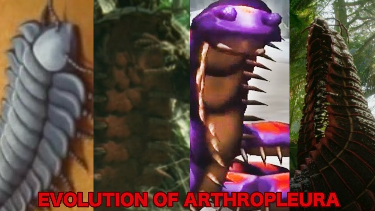 Evolution Of Arthropleura In Movies, TV Shows, Documentaries, Games, & Paleo Media