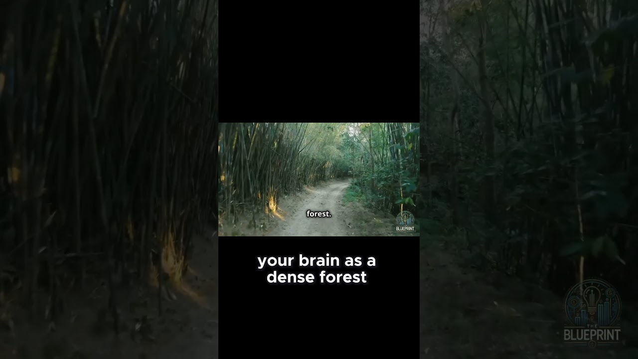 The Science Behind Forming New Habits  66 Days